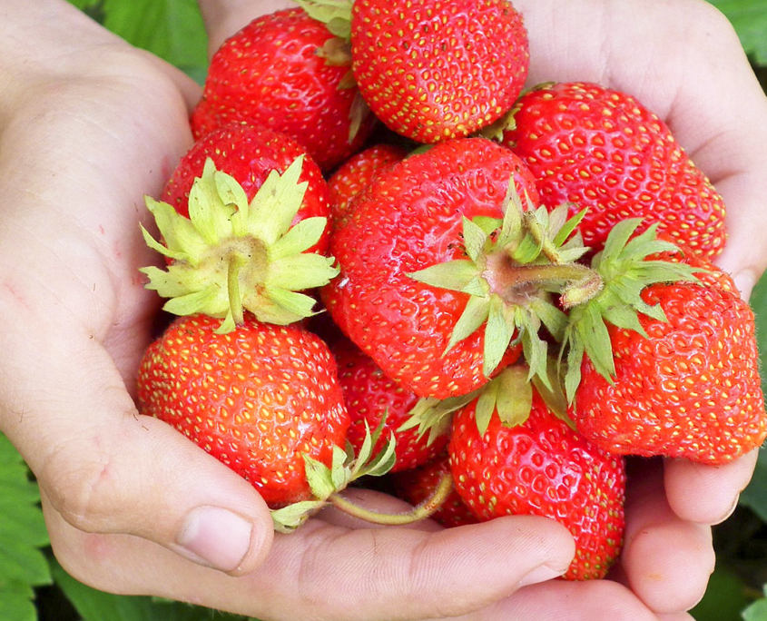 One Way Mission | Suomalainen lähetysjärjestö